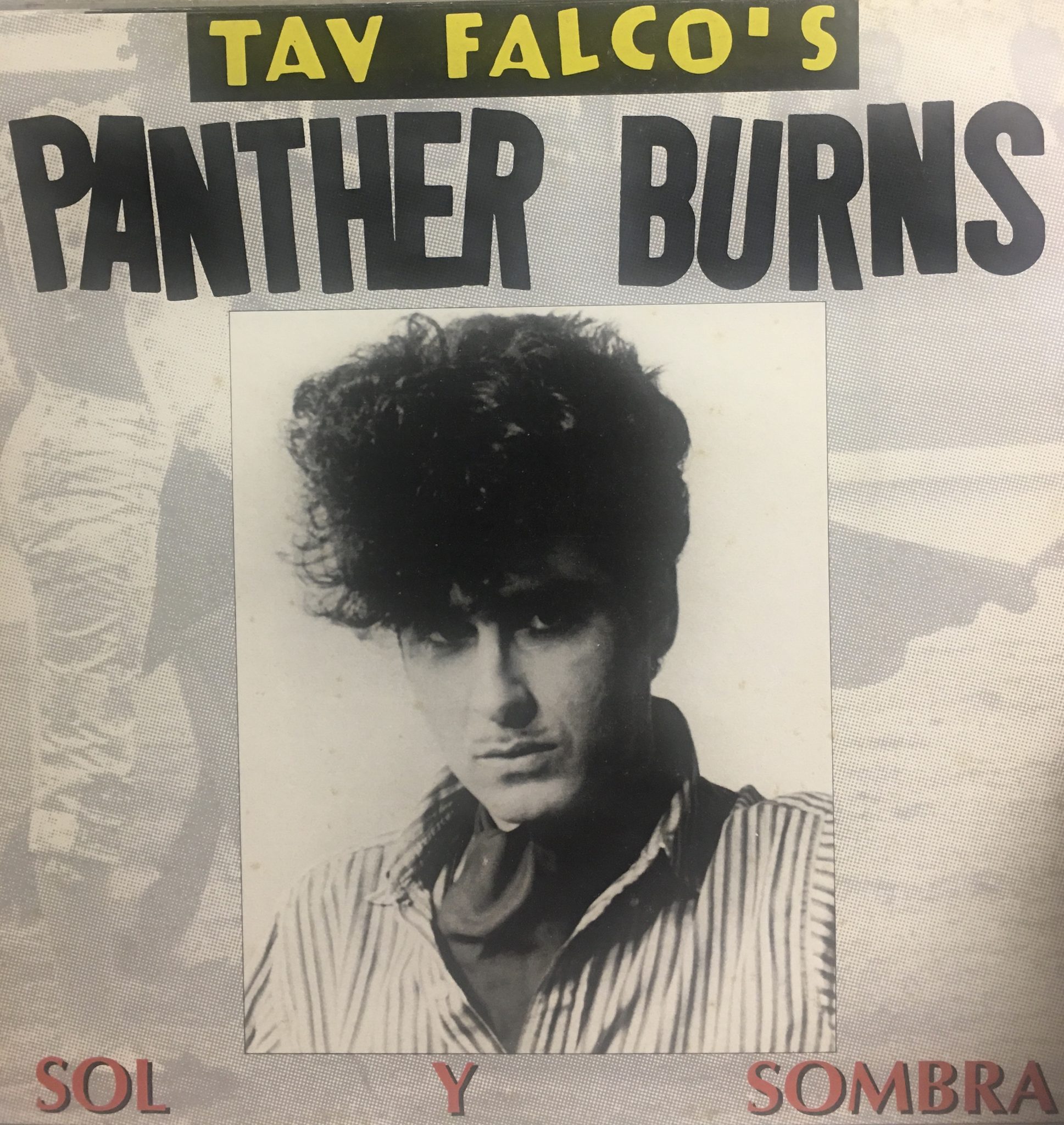 TAV FALCO´S PANTHER BURNS - SOL Y SOMBRA - LP - AMEDISK